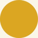 Computer System Innovations | Not-for-profit Software Solutions