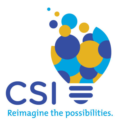 Press Kit - Computer System Innovations